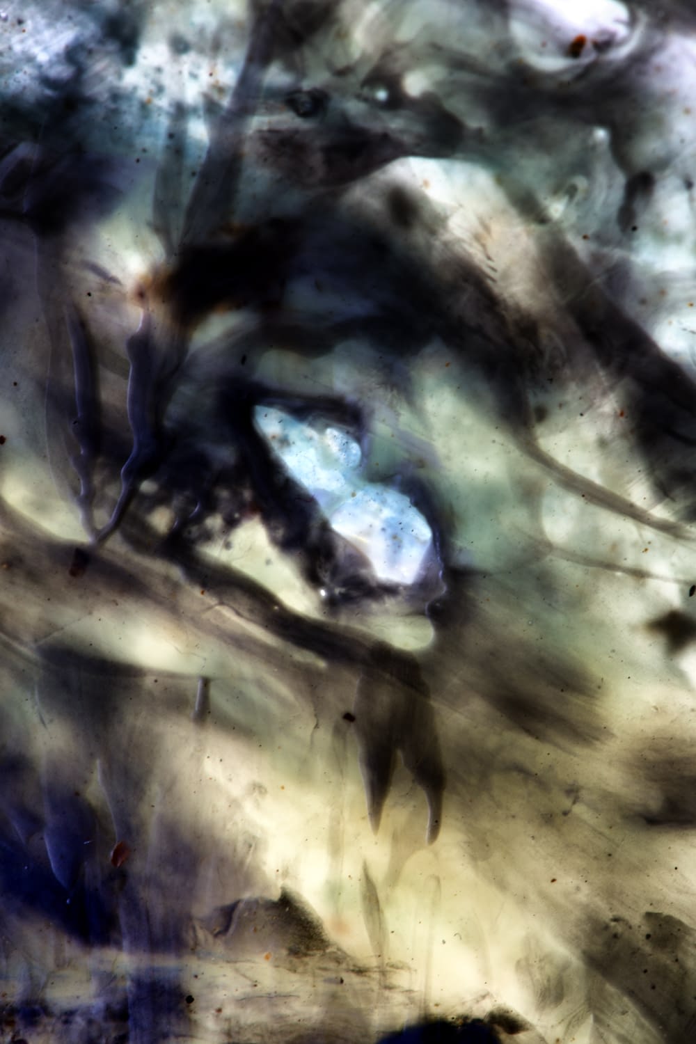 LUCID APPARITIONS 5 - TOLLISON PICTURES